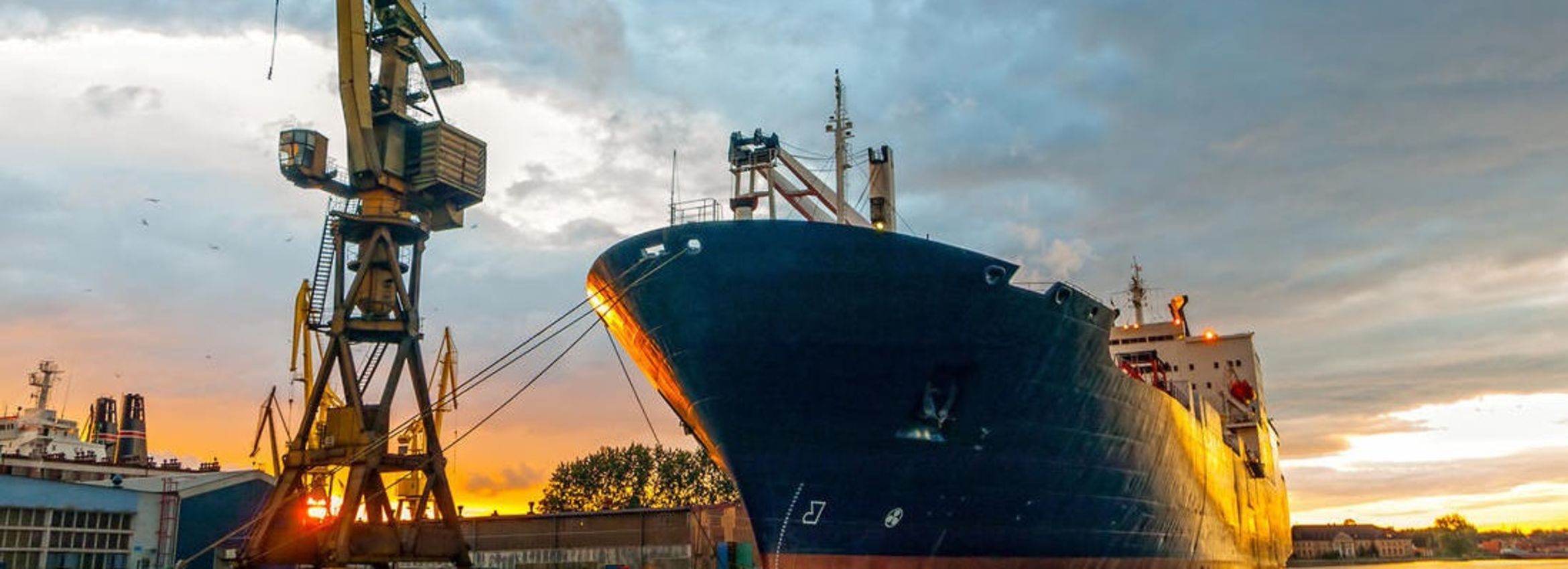 Bachmann Group Services: Part Two